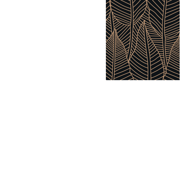 About Us - The Eternal Elegance Global Award